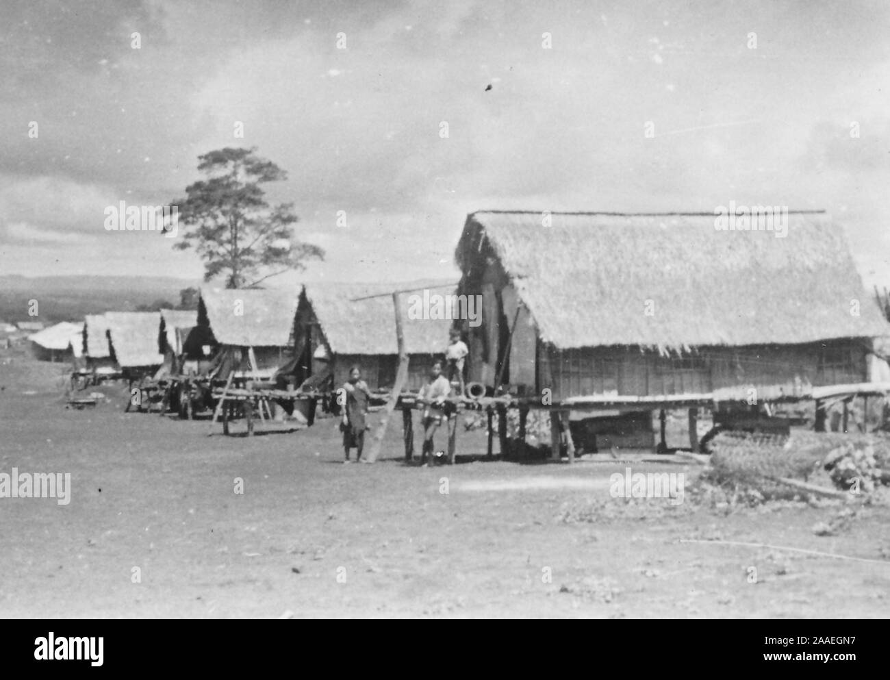 Wide shot, on a sunny day, of a row of stilt-raised, thatched bamboo ...