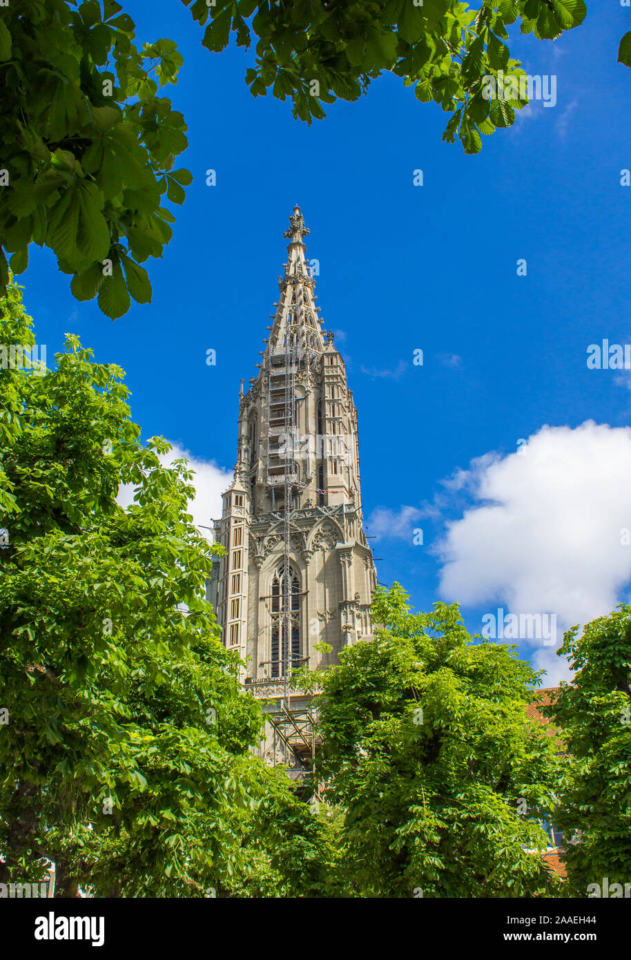Bern Cathedral. Gothic cathedral in Bern Stock Photo - Alamy