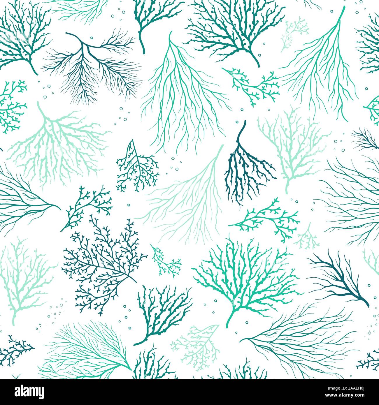 Coral Pattern Vector