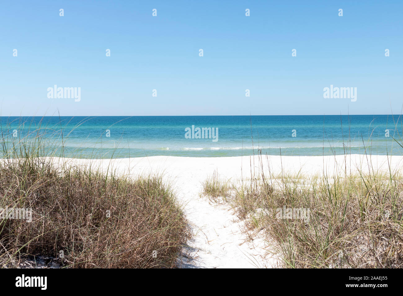 Sand path leading to the ocean Stock Photo - Alamy