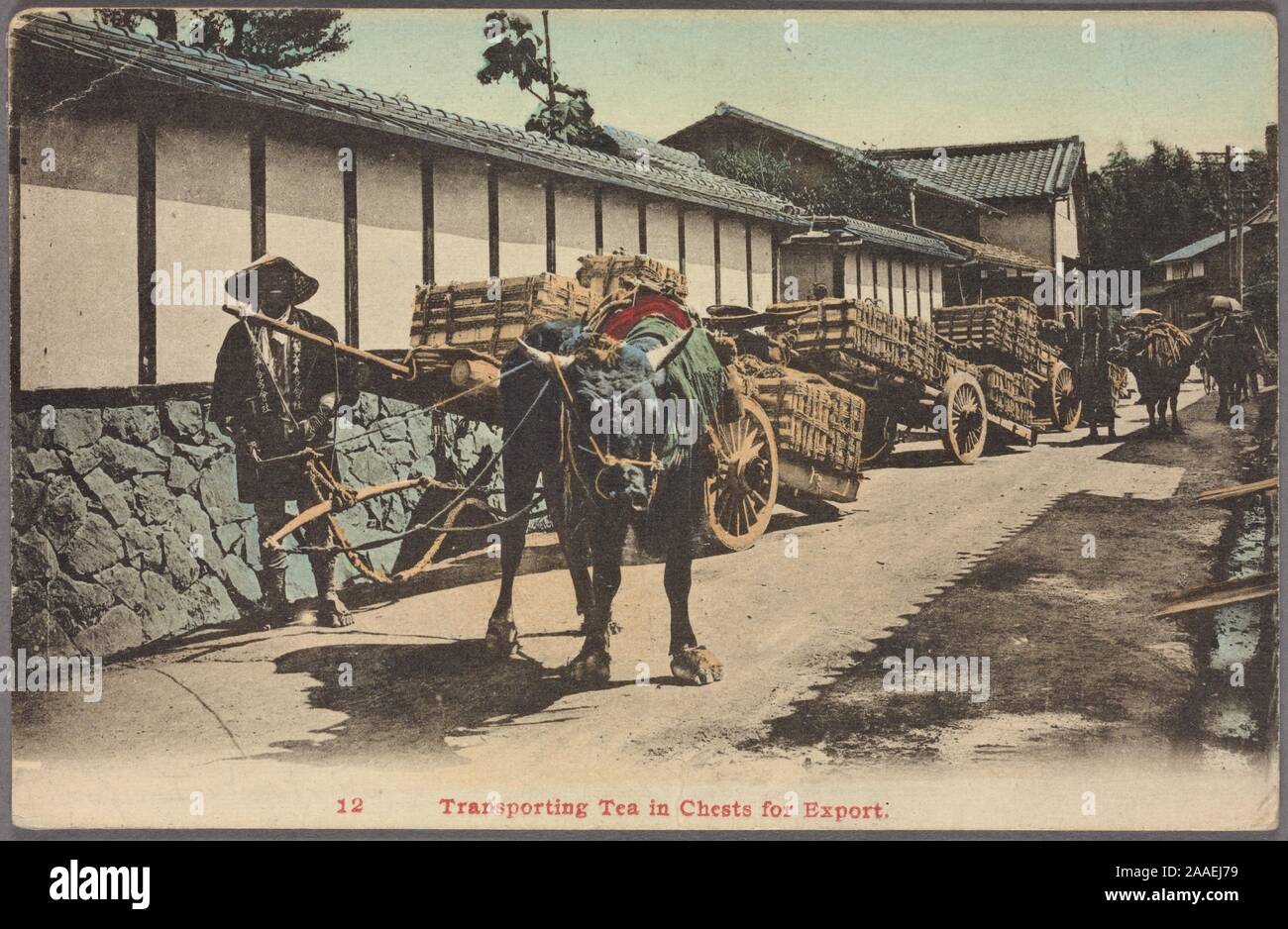 Archival carts hi-res stock photography and images - Alamy