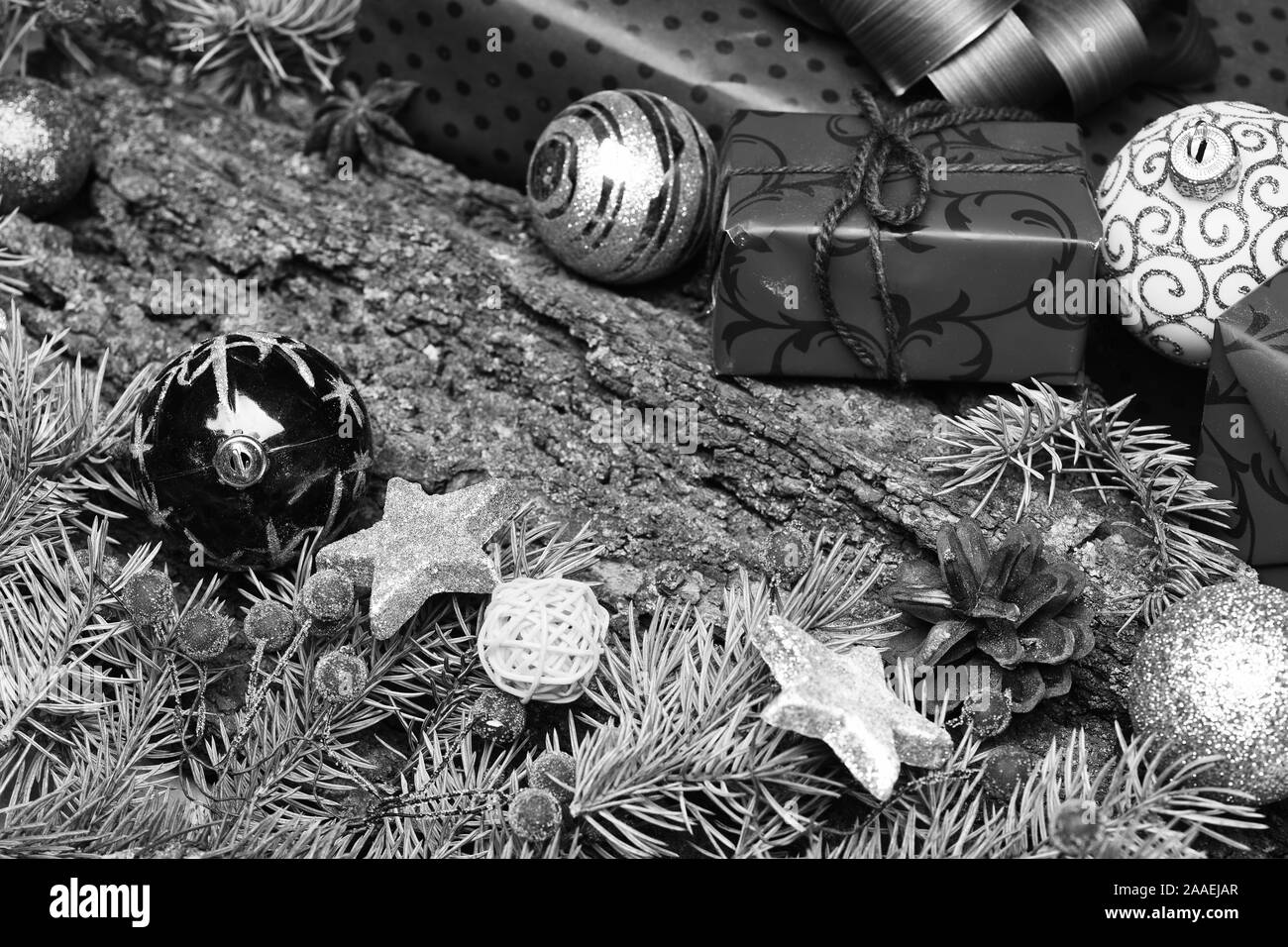 Rough fir Black and White Stock Photos & Images - Alamy