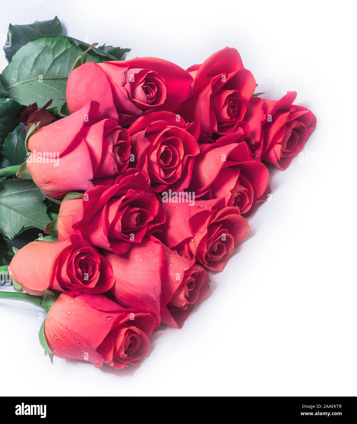 large bouquet of the red roses Stock Photo - Alamy