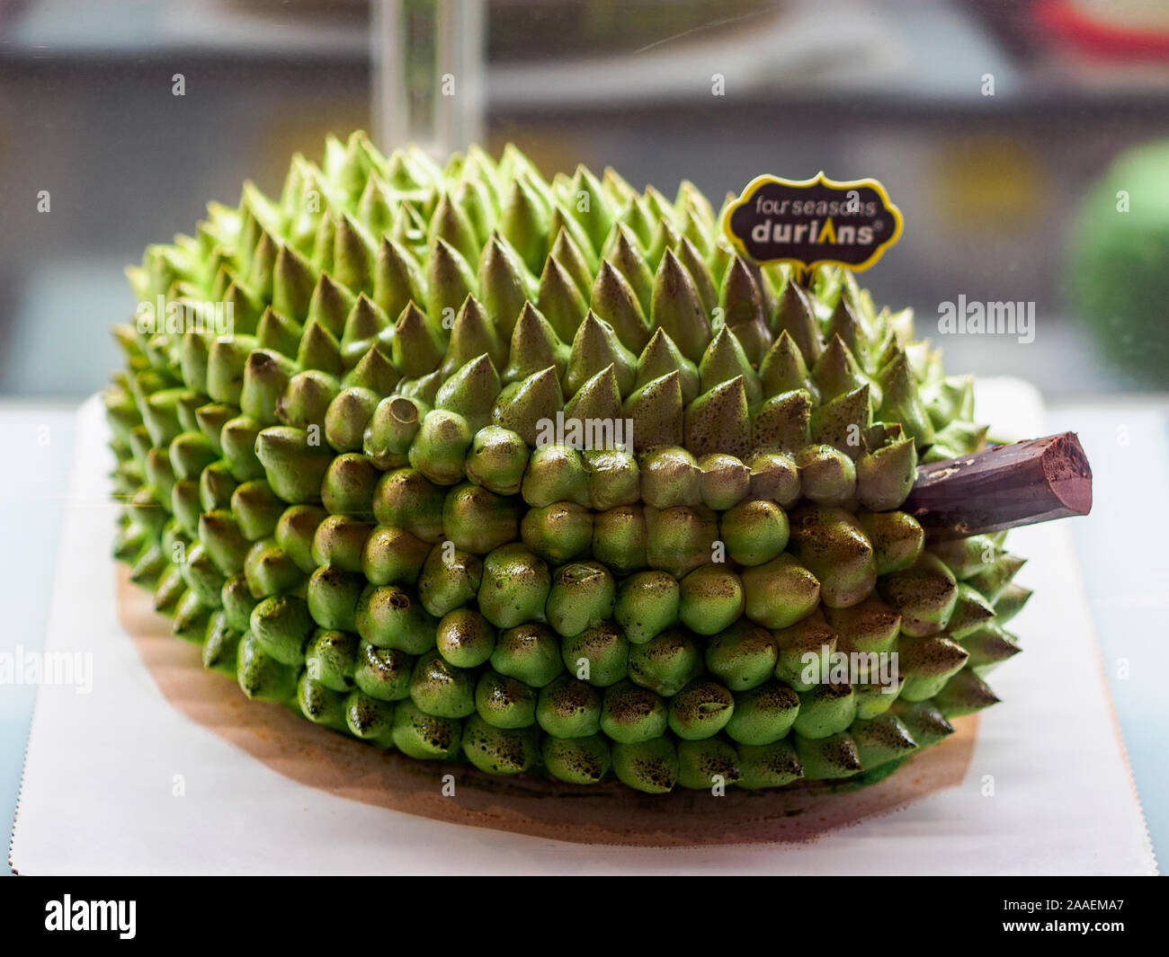 SINGAPORE - 17 NOV 2019 – A durian shaped and durian flavoured cake at ...