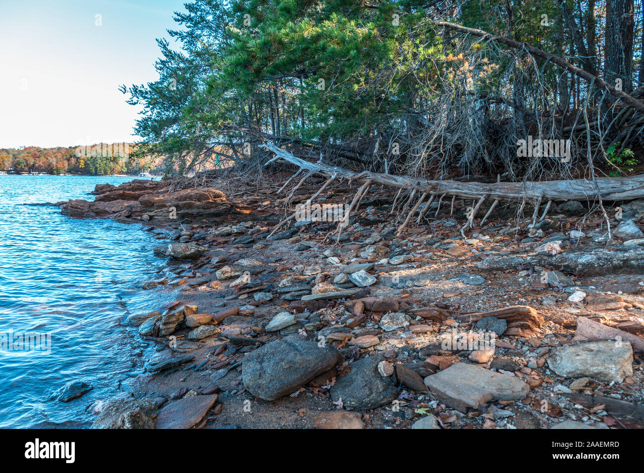 Lake Lanier, Georgia colorful rocky shoreline with autumn color trees ...