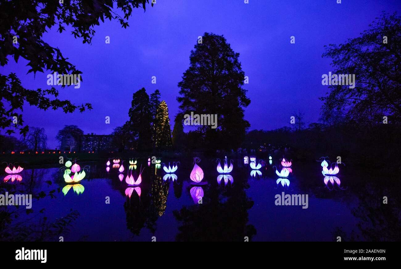 Wakehurst christmas tree hi-res stock photography and images - Alamy