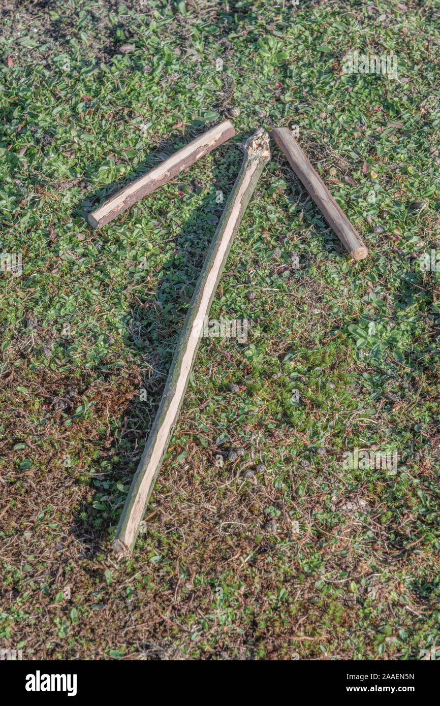 Survivalist skills hi-res stock photography and images - Alamy