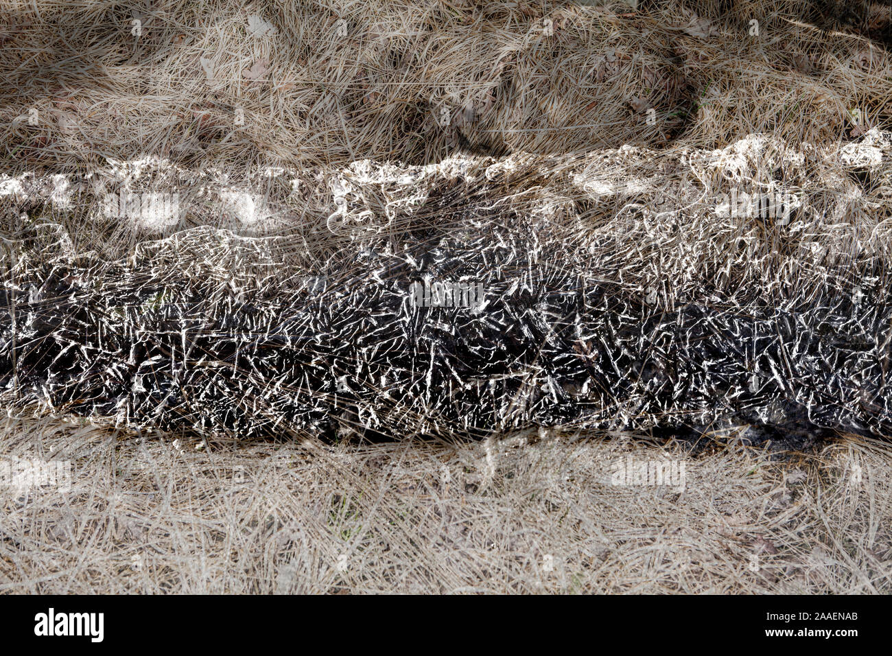 Abstract structures hi-res stock photography and images - Alamy