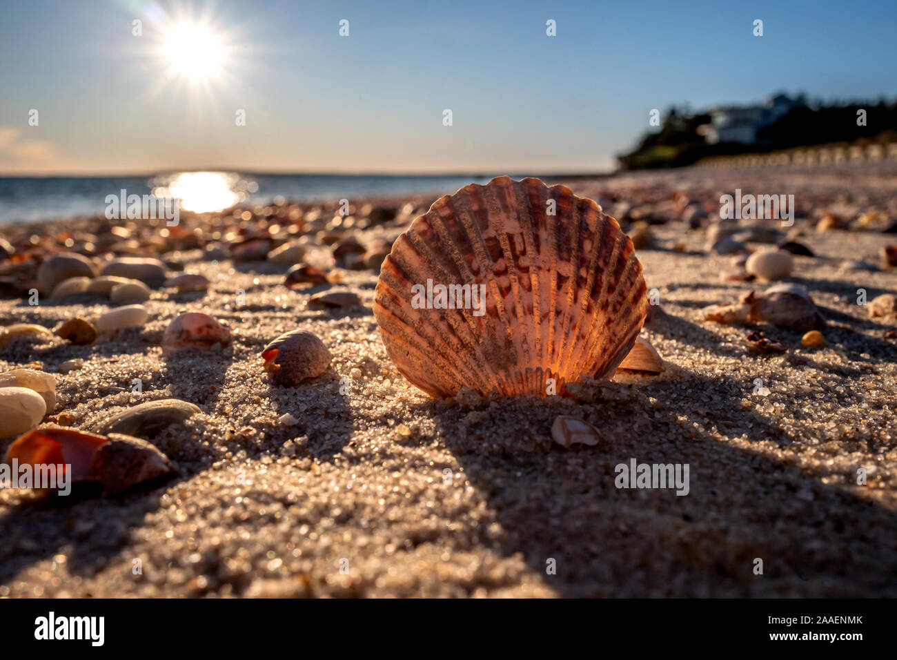 On a beach in Southold, Long Island, New York Stock Photo - Alamy
