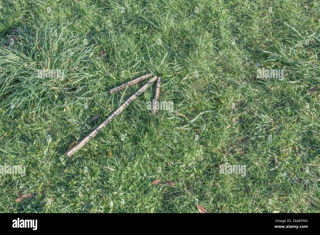 Survival skills concept. Method of signalling 'proceed this way ...