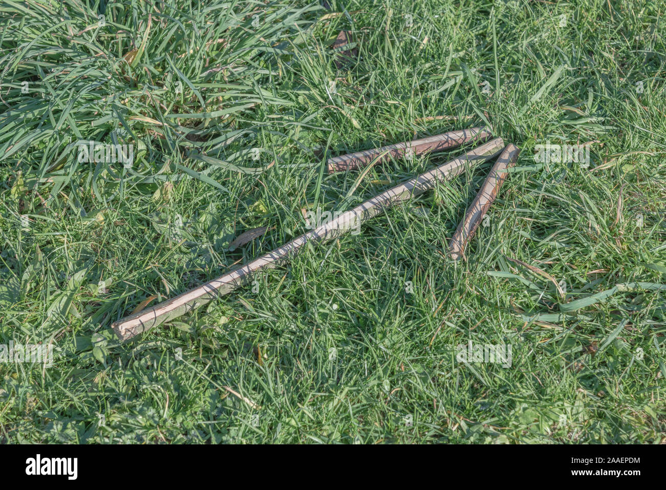 Survival skills concept. Method of signalling 'proceed this way ...