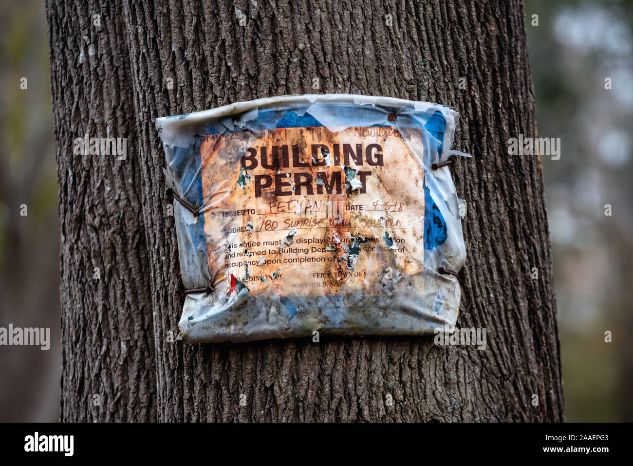 Building Permit notification stuck to a tree in Southold, Long Island ...