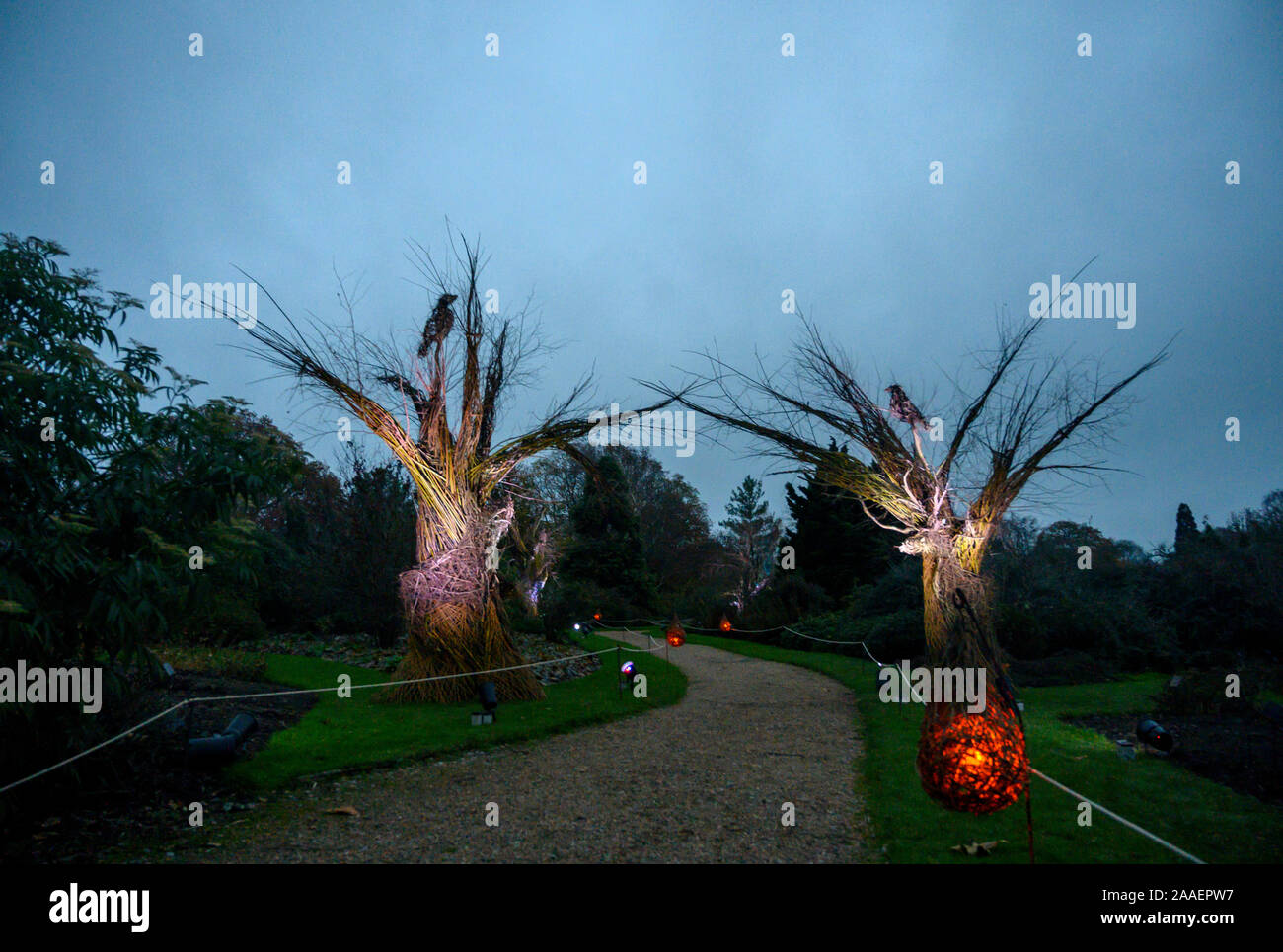 Wakehurst place christmas tree hi-res stock photography and images - Alamy