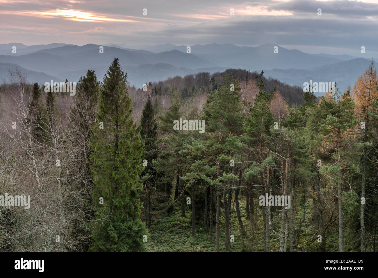 Bieszczady Mountains in the autumn mood. Korbania top at the morning ...