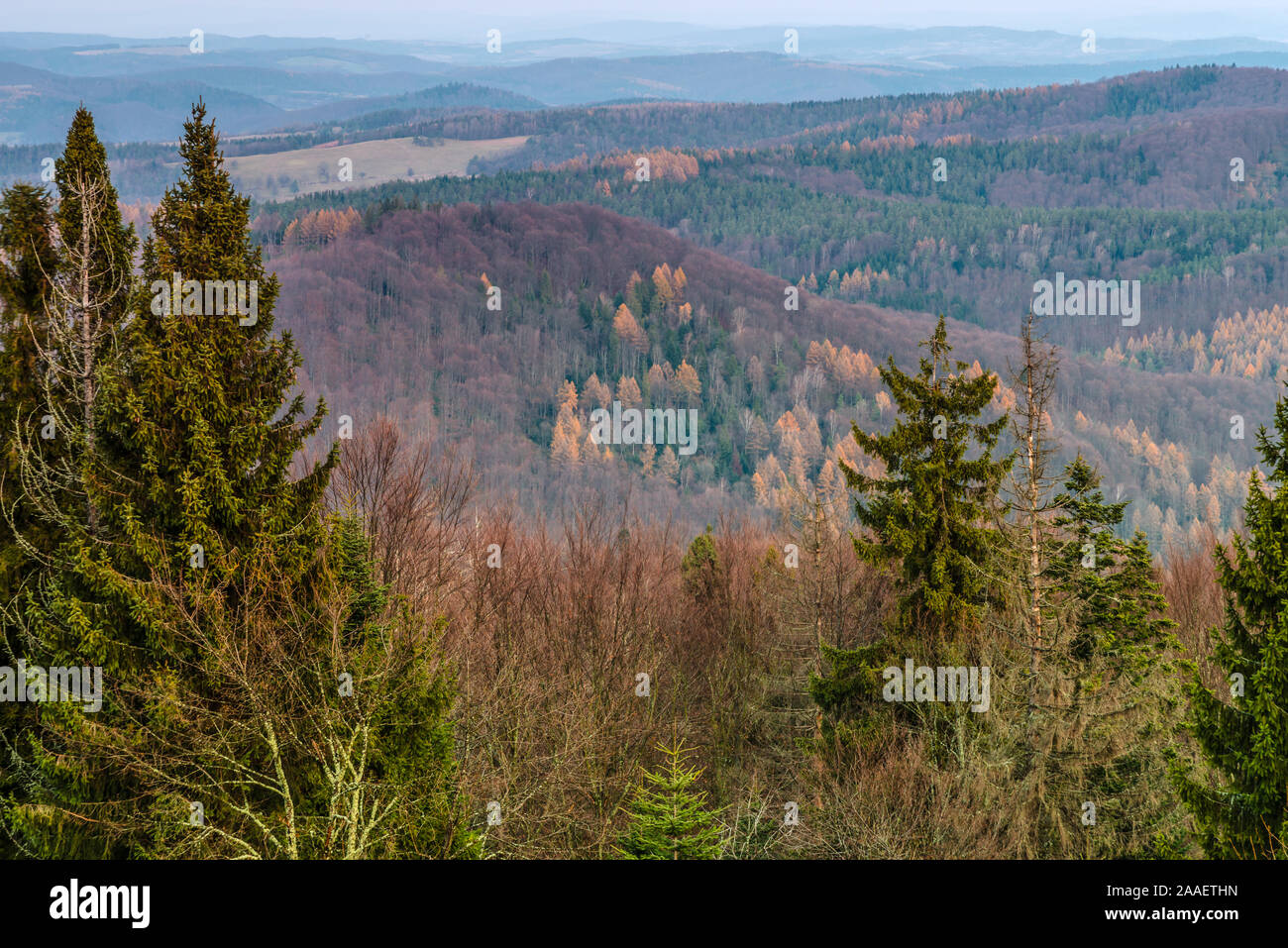 Bieszczady Mountains in the autumn mood. Korbania top at the morning ...