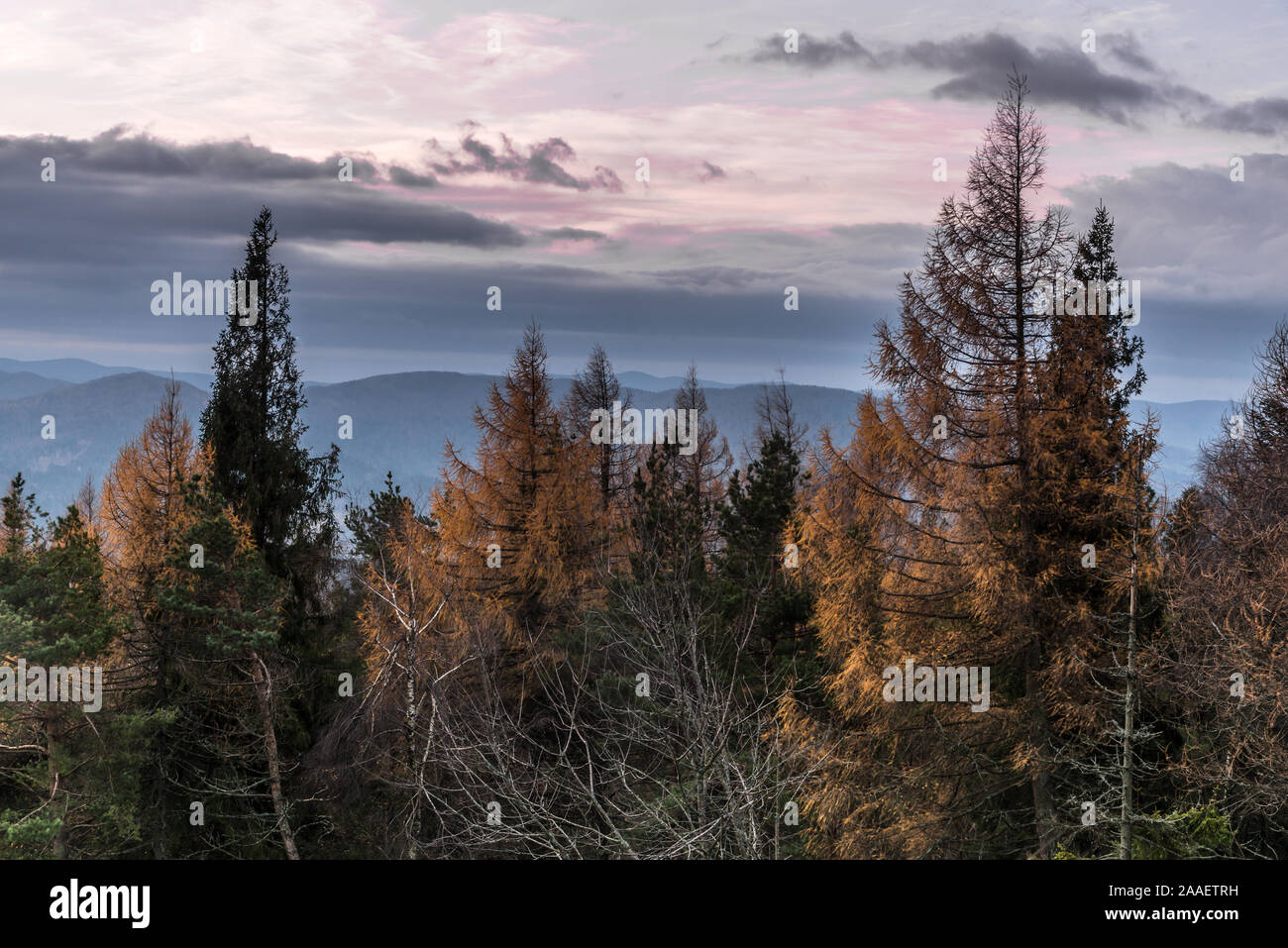 Bieszczady Mountains in the autumn mood. Korbania top at the morning ...