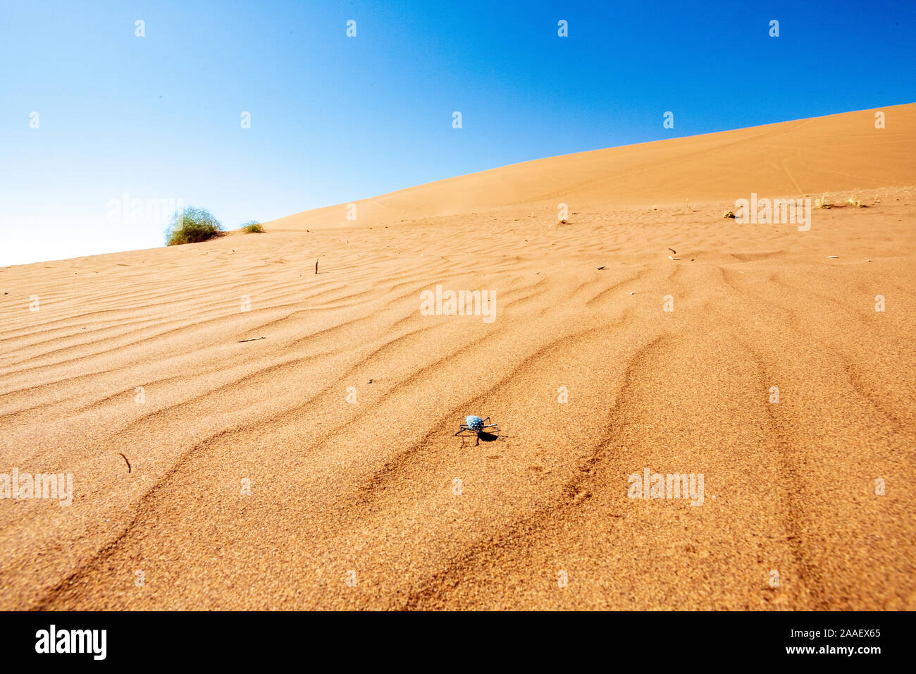 The desert in Namibia, Africa Stock Photo - Alamy