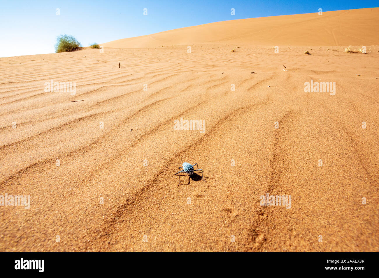 The desert in Namibia, Africa Stock Photo - Alamy