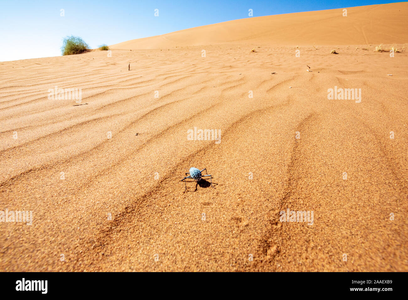 The desert in Namibia, Africa Stock Photo - Alamy