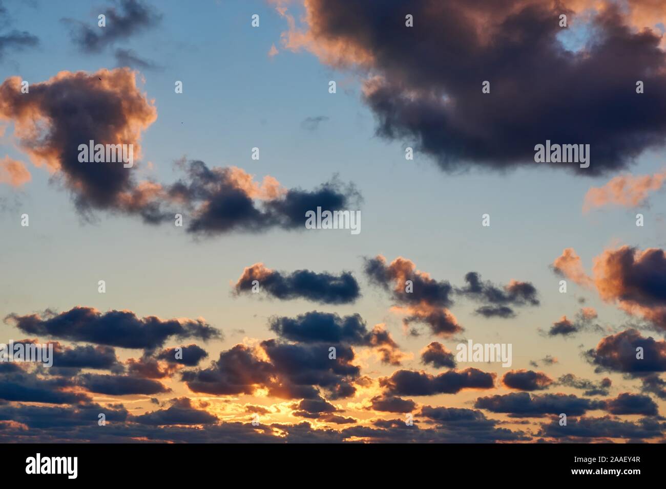 Fiery orange hi-res stock photography and images - Alamy