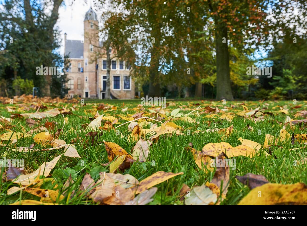 Hessel van martena hi-res stock photography and images - Alamy