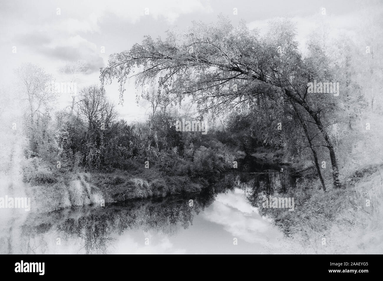 Black and white landscape with vignette. River Jugla and forest ...