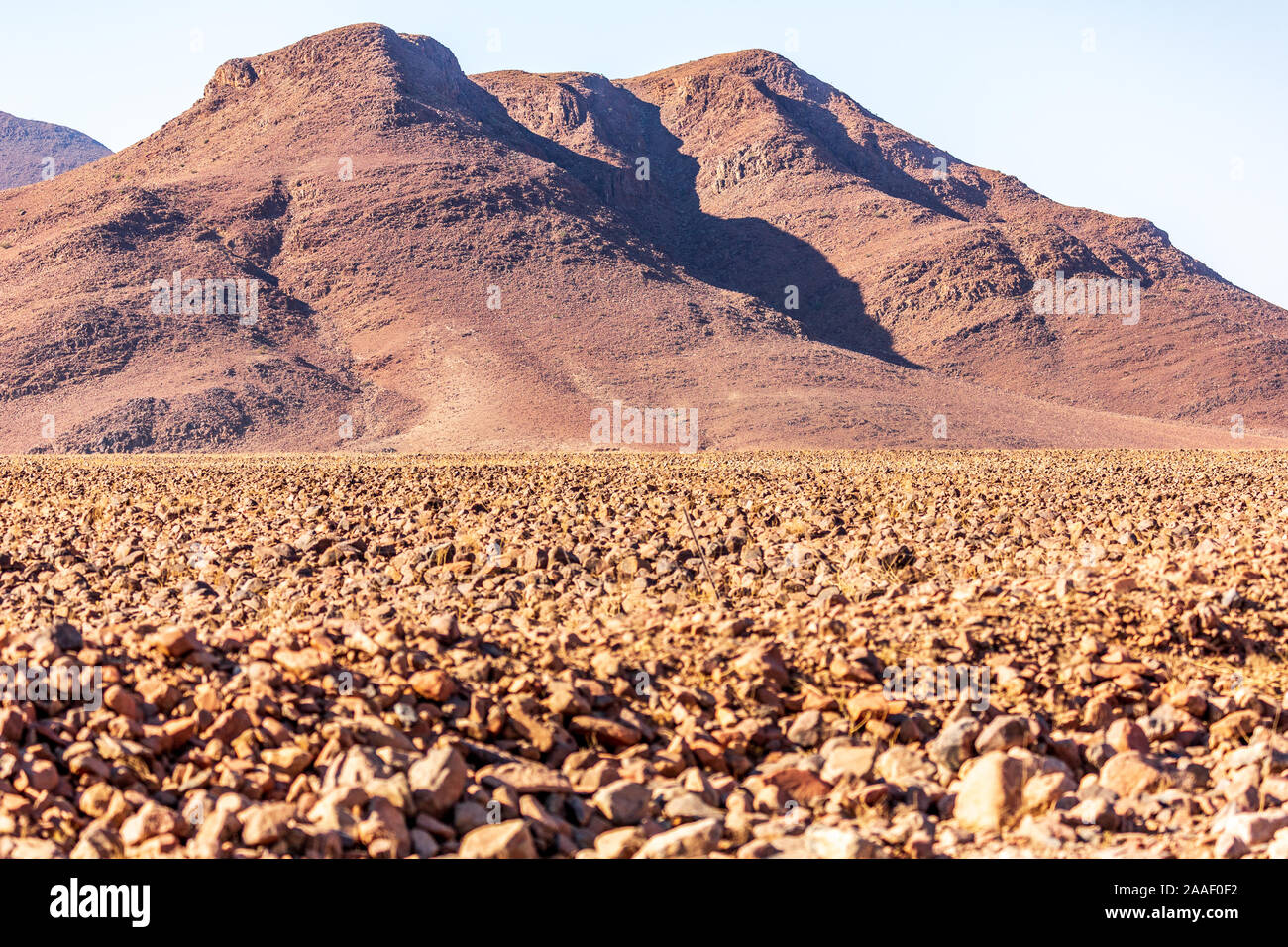 The desert in Namibia, Africa Stock Photo - Alamy