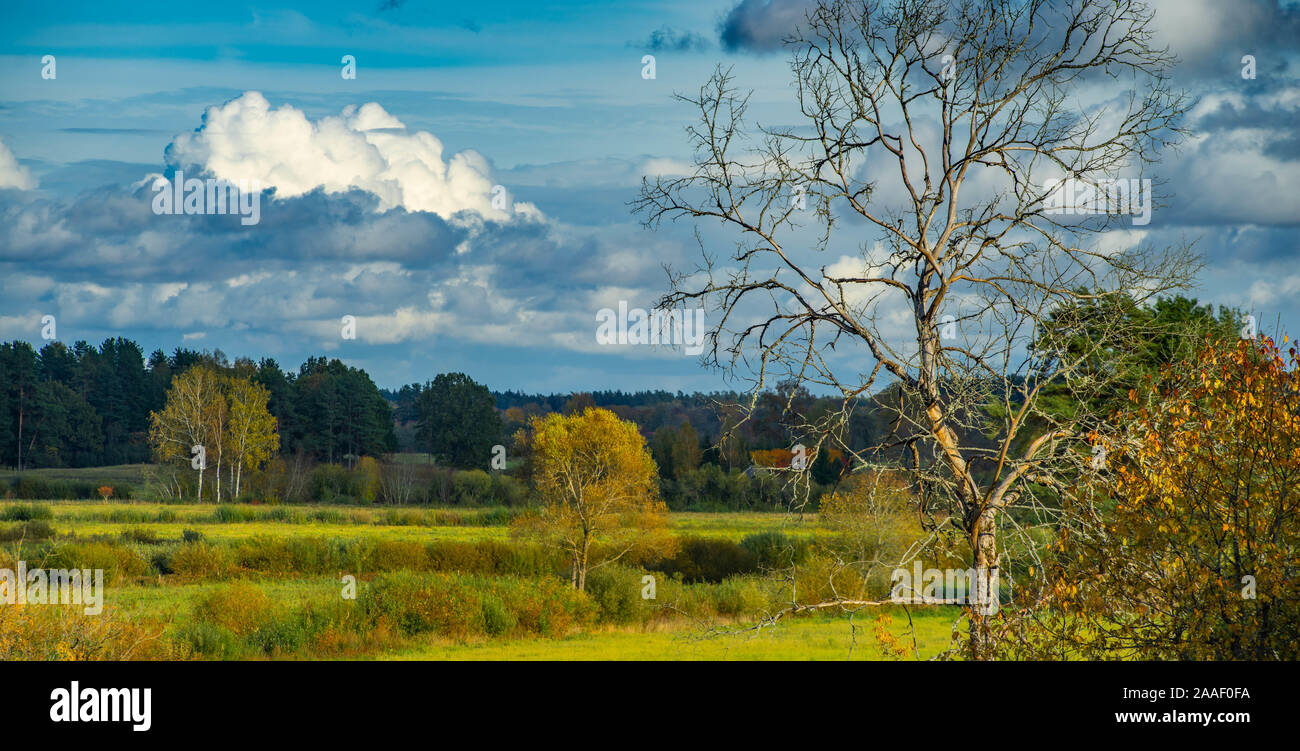 Beautiful autumn landscape. View of forest and field. Latvian nature ...