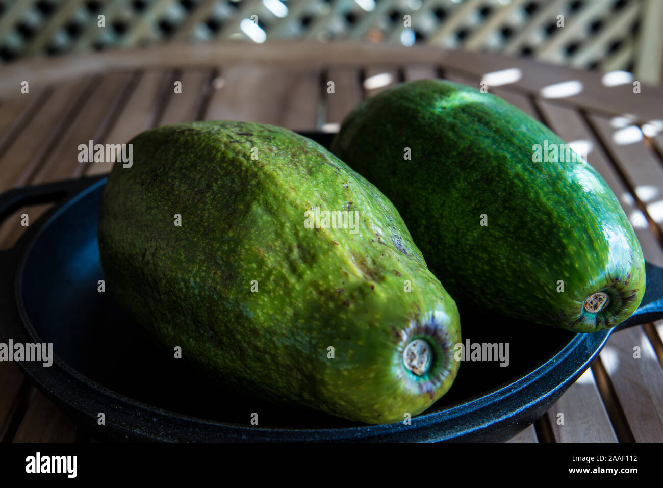Two whole cuban avocados hi-res stock photography and images - Alamy
