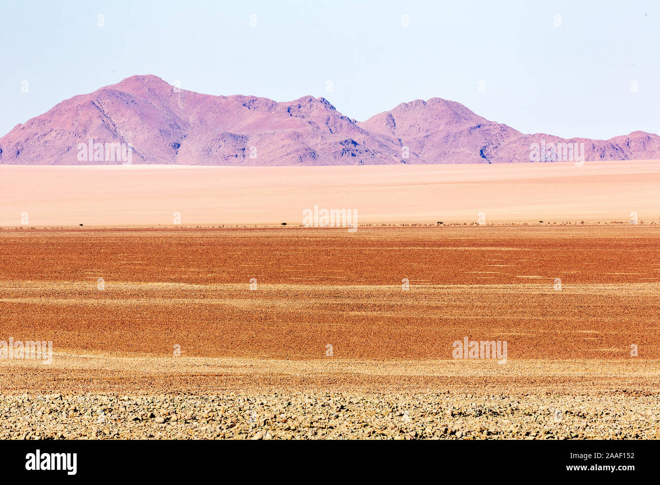 The desert in Namibia, Africa Stock Photo - Alamy