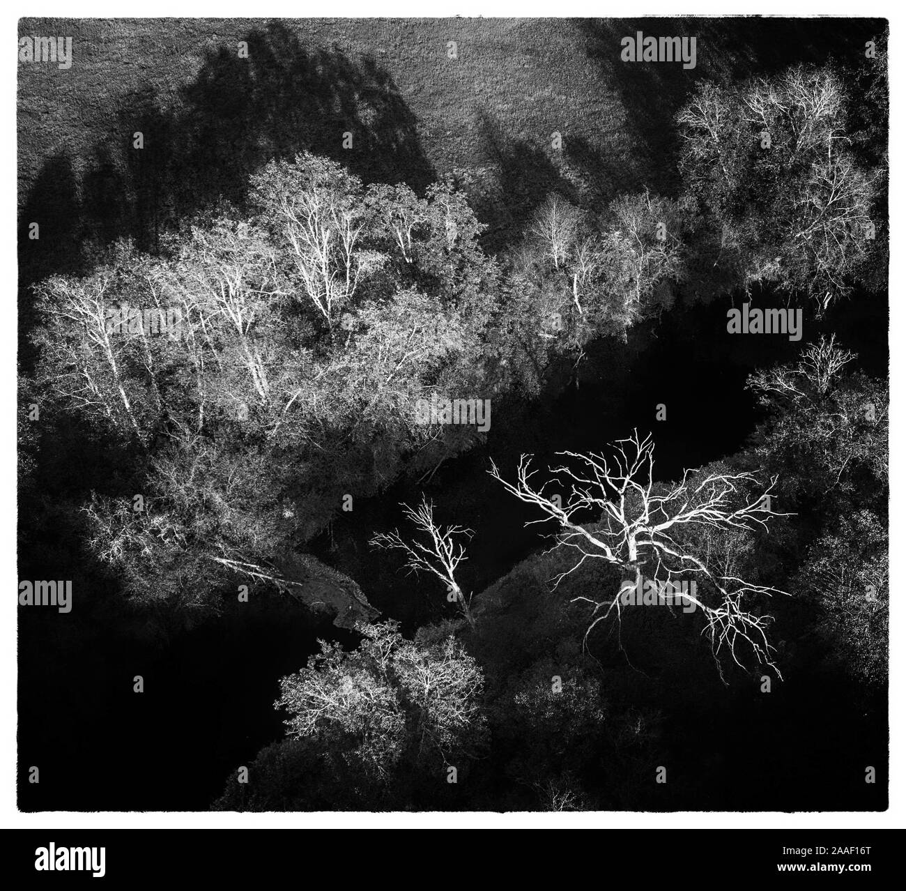 River frome view Cut Out Stock Images & Pictures - Alamy