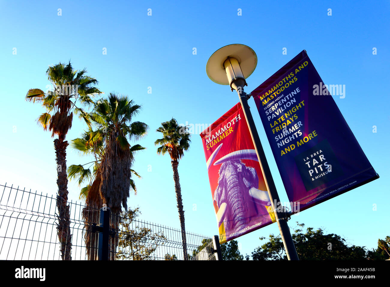 Los Angeles, California – LA BREA TAR PITS & Museum, one of the world's ...