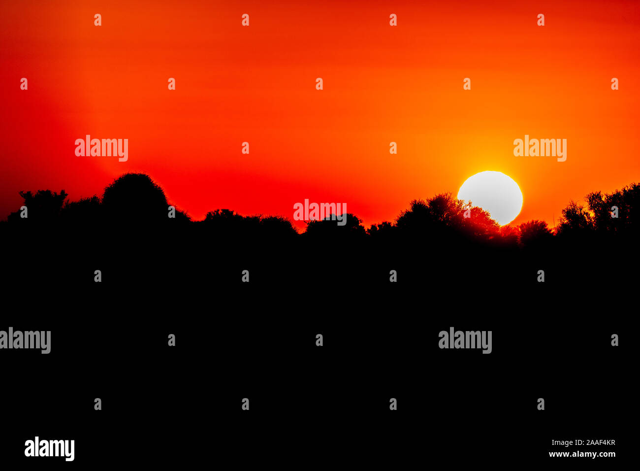 Sunset in the desert of Namibia, Africa Stock Photo - Alamy