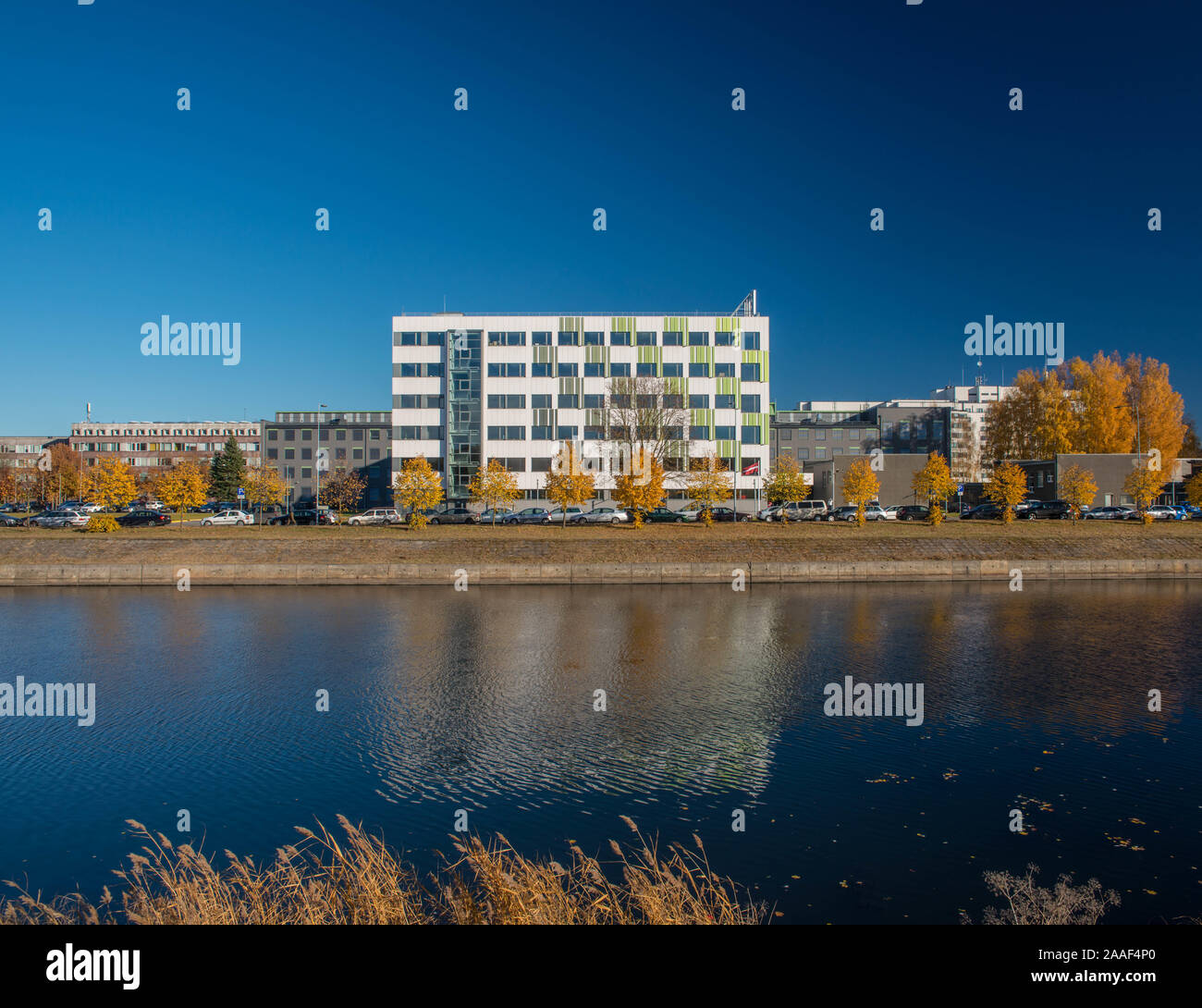 Modern design of office building. Modern architecture. Reflection on ...