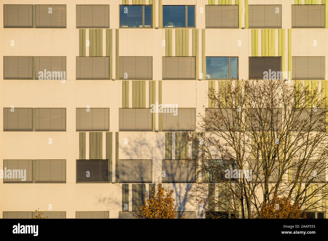Wall of office building with windows. Modern exterior Stock Photo - Alamy