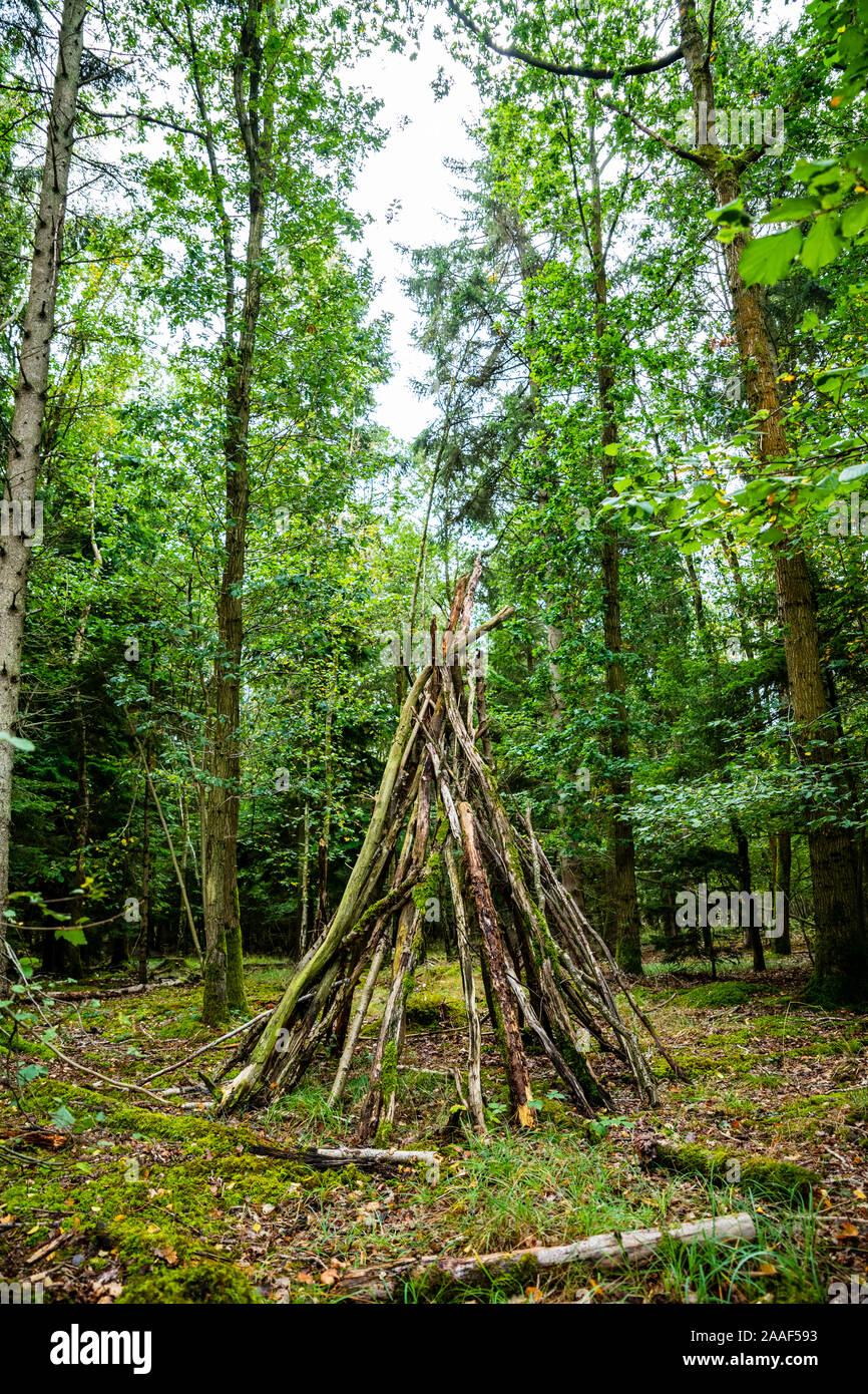 Bush craft / Survival shelter: Primitive shelter construction in a wild ...