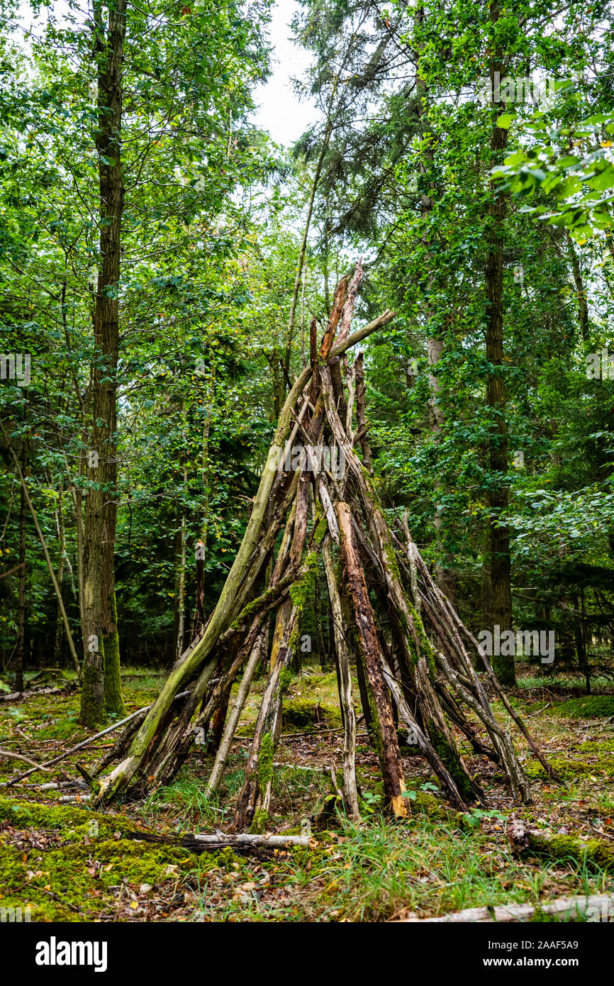 Bush craft / Survival shelter: Primitive shelter construction in a wild ...