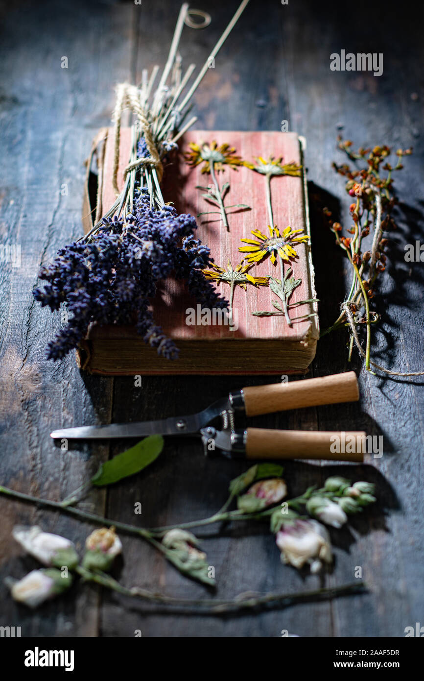 Vintage style flowers hi-res stock photography and images - Alamy