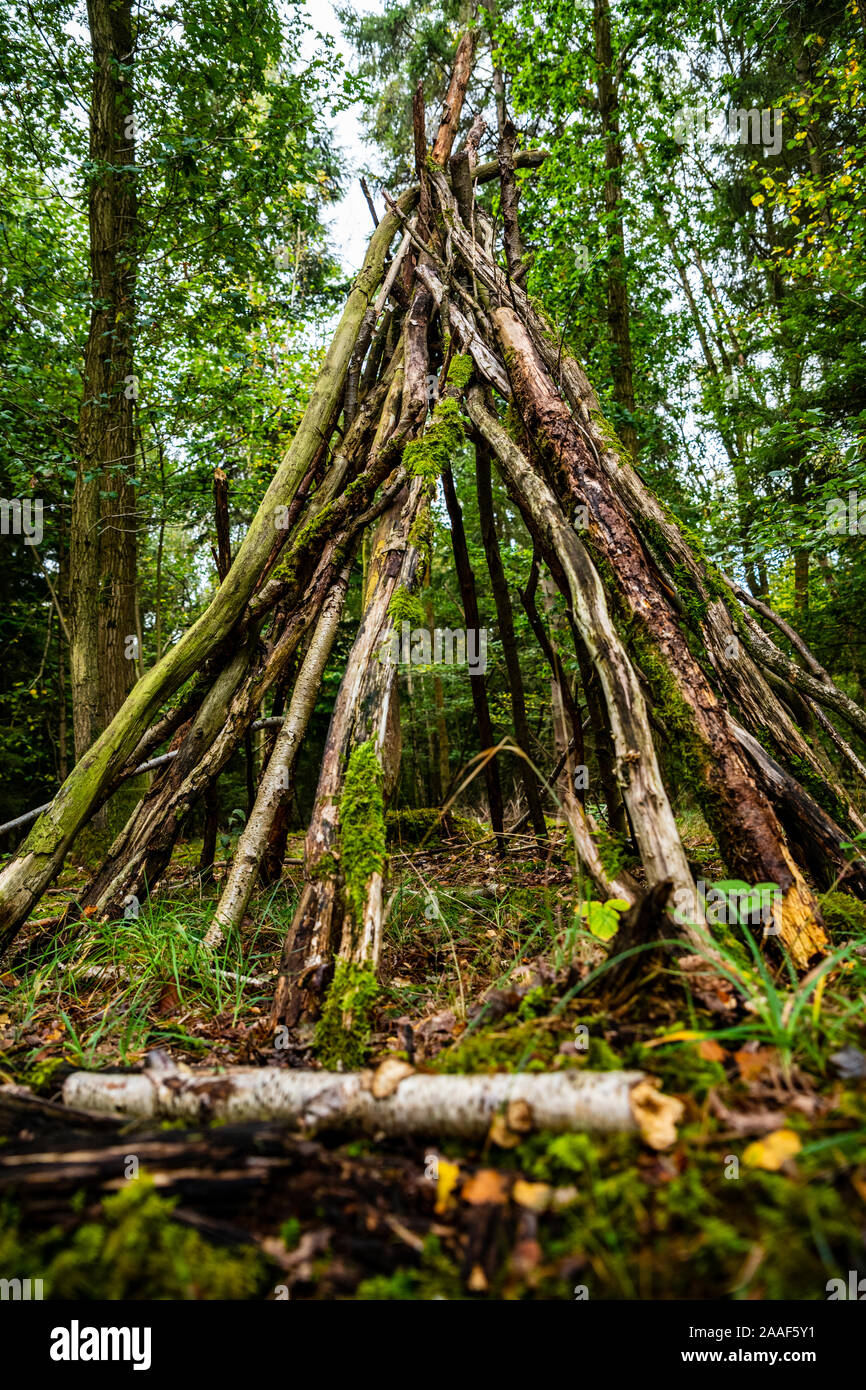 Bush craft / Survival shelter: Primitive shelter construction in a wild ...