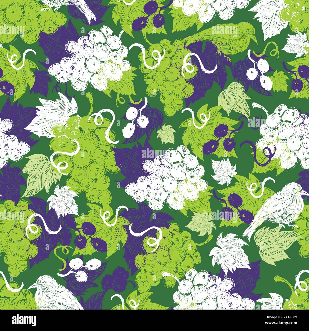 Vector green grape vine illustration with leaves and bird hand drawn ...