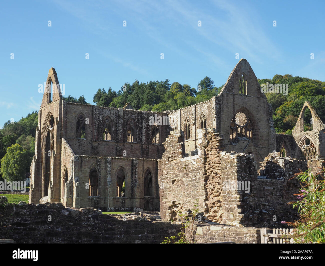Tintern Abbey (Abaty Tyndyrn in Welsh) ruins in Tintern, UK Stock Photo ...