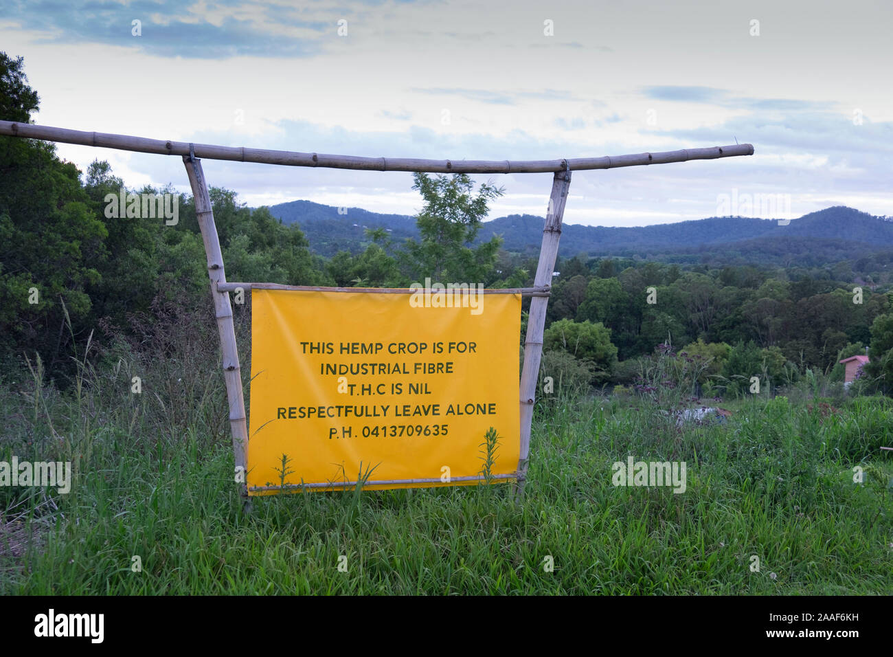 Hemp farm hi-res stock photography and images - Alamy