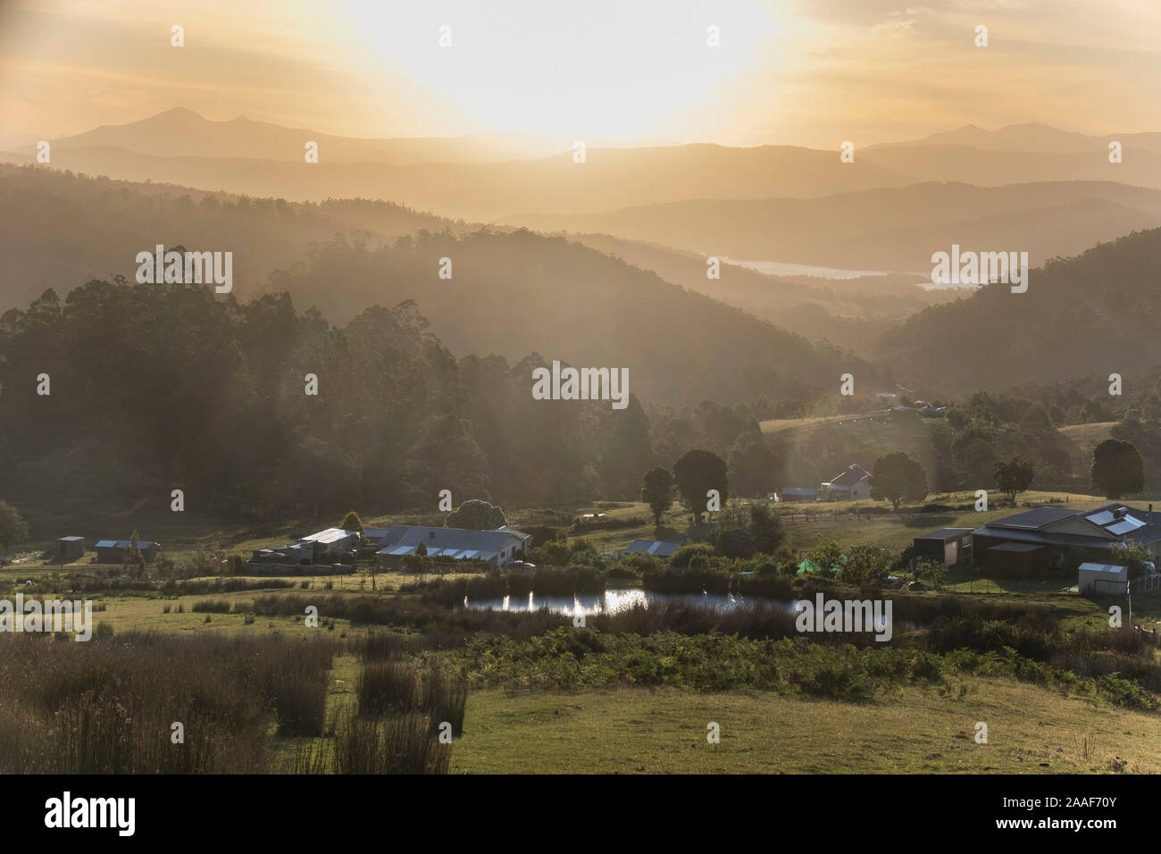 Houn High Resolution Stock Photography and Images - Alamy