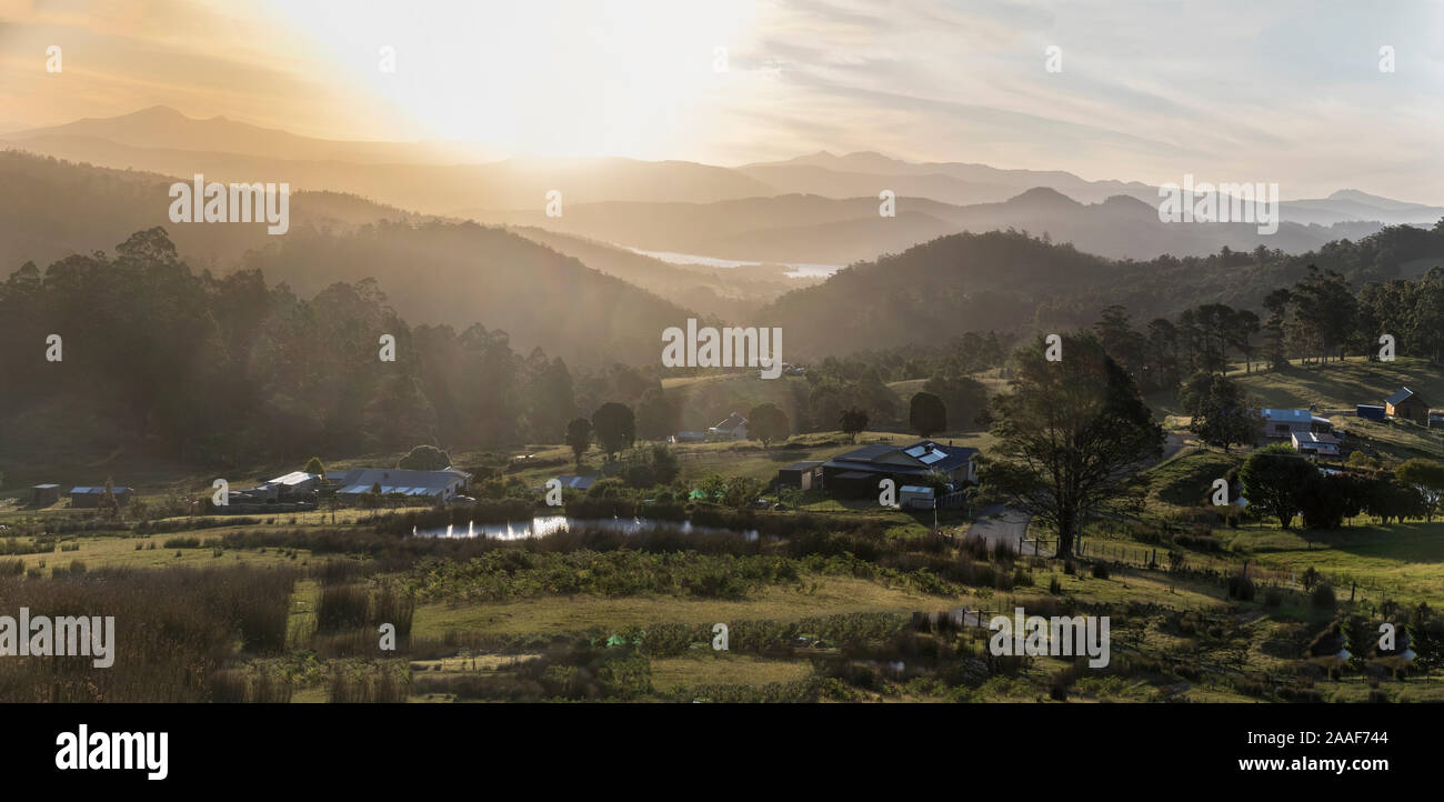 Houn hi-res stock photography and images - Alamy