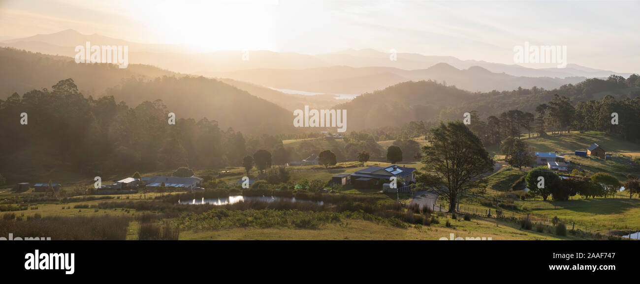 Tasmania australia gum trees hi-res stock photography and images - Alamy