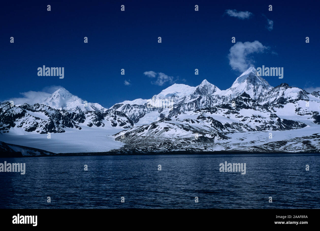 South Georgia is an island in the southern Atlantic Ocean that is part ...