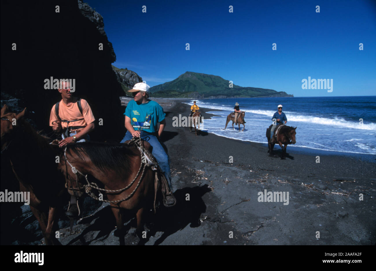 Kodiak, US, The horse (Equus ferus caballus) is one of two extant ...
