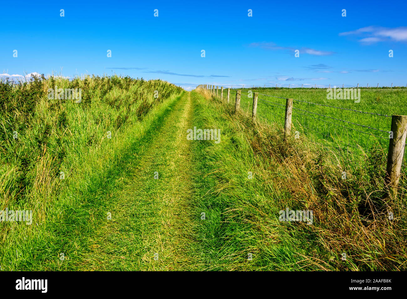 Pathway through the countryside hi-res stock photography and images - Alamy