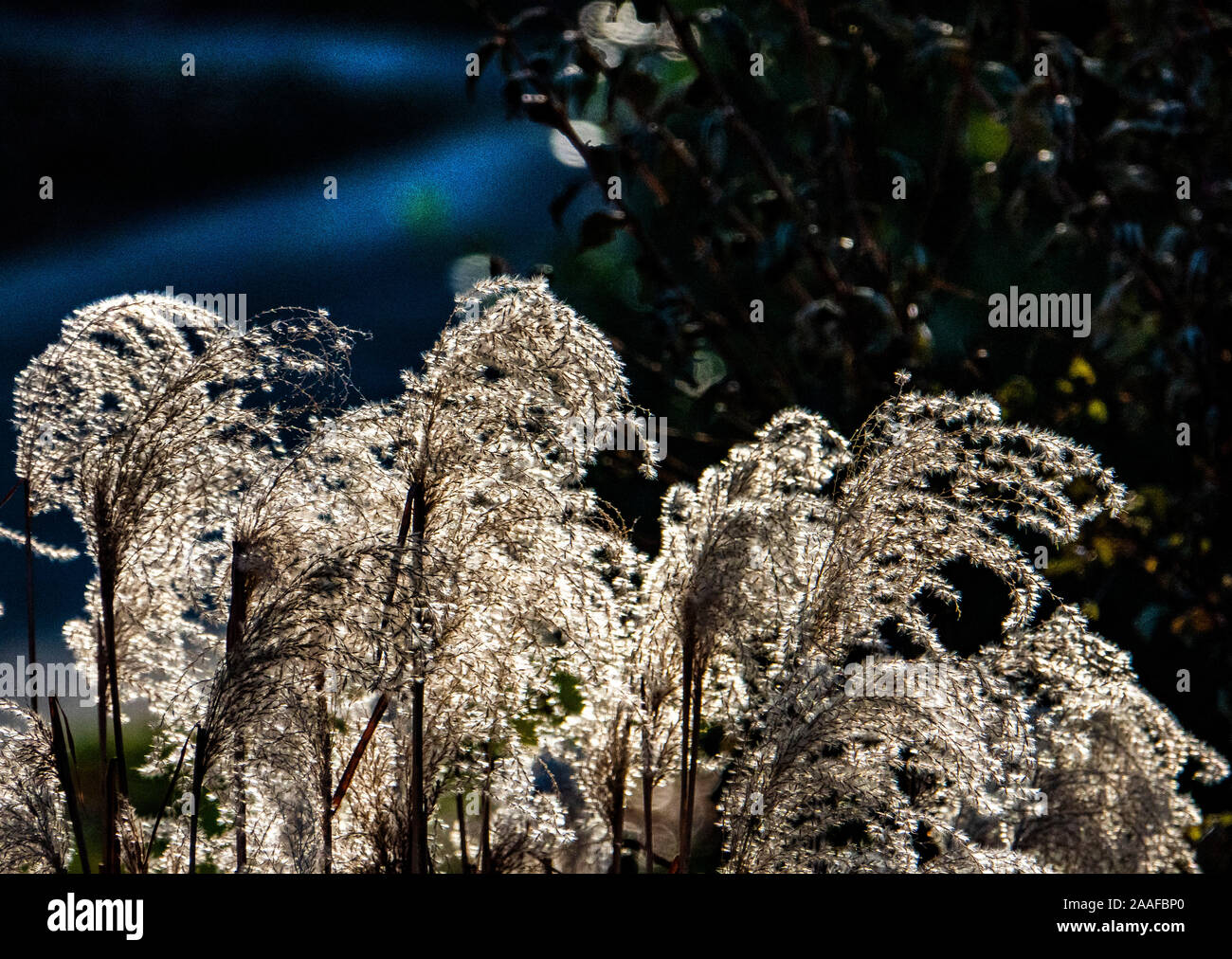 Bending over hi-res stock photography and images - Alamy