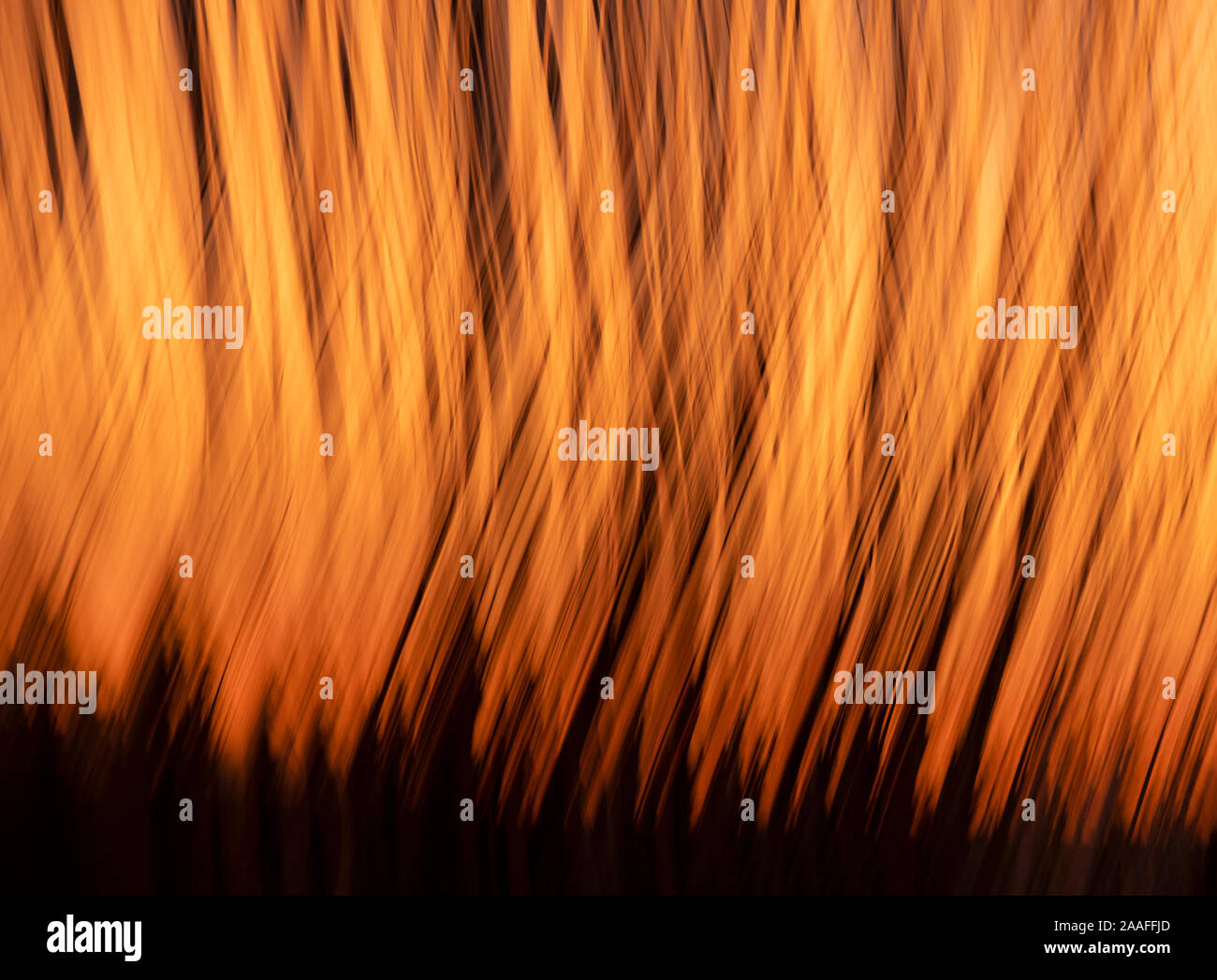 Blurred sunset hi-res stock photography and images - Alamy